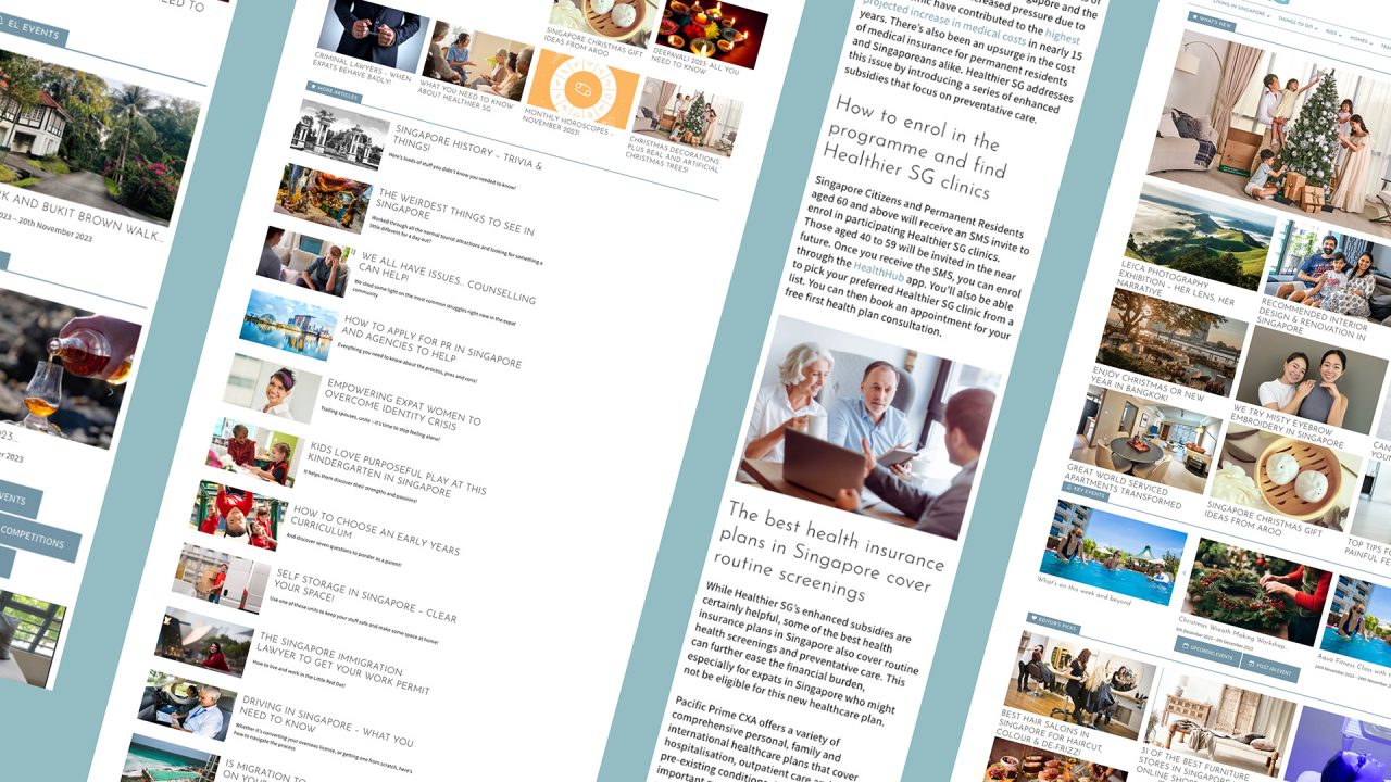 Expat Living Case Study | Chillybin