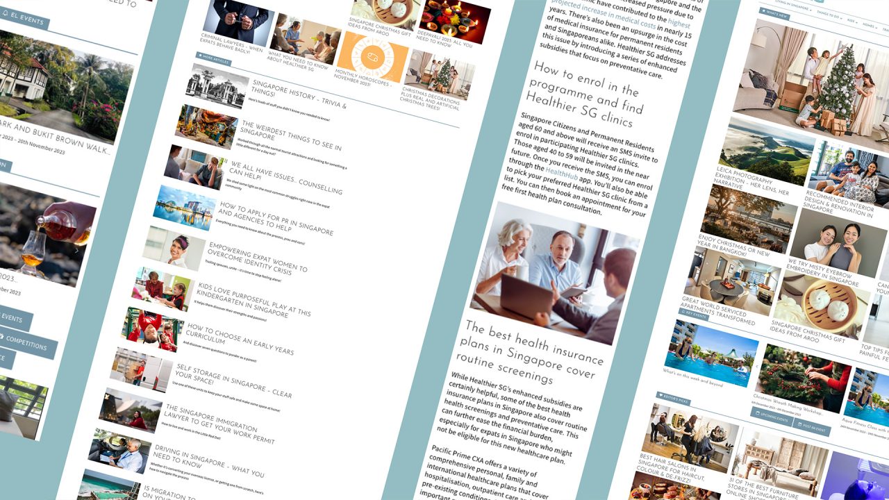 Expat Living Case Study | Chillybin Web Design