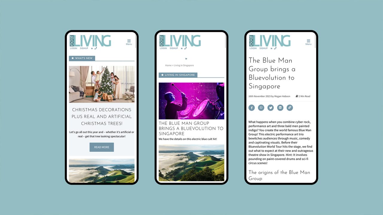 Expat Living Case Study | Chillybin Web Design