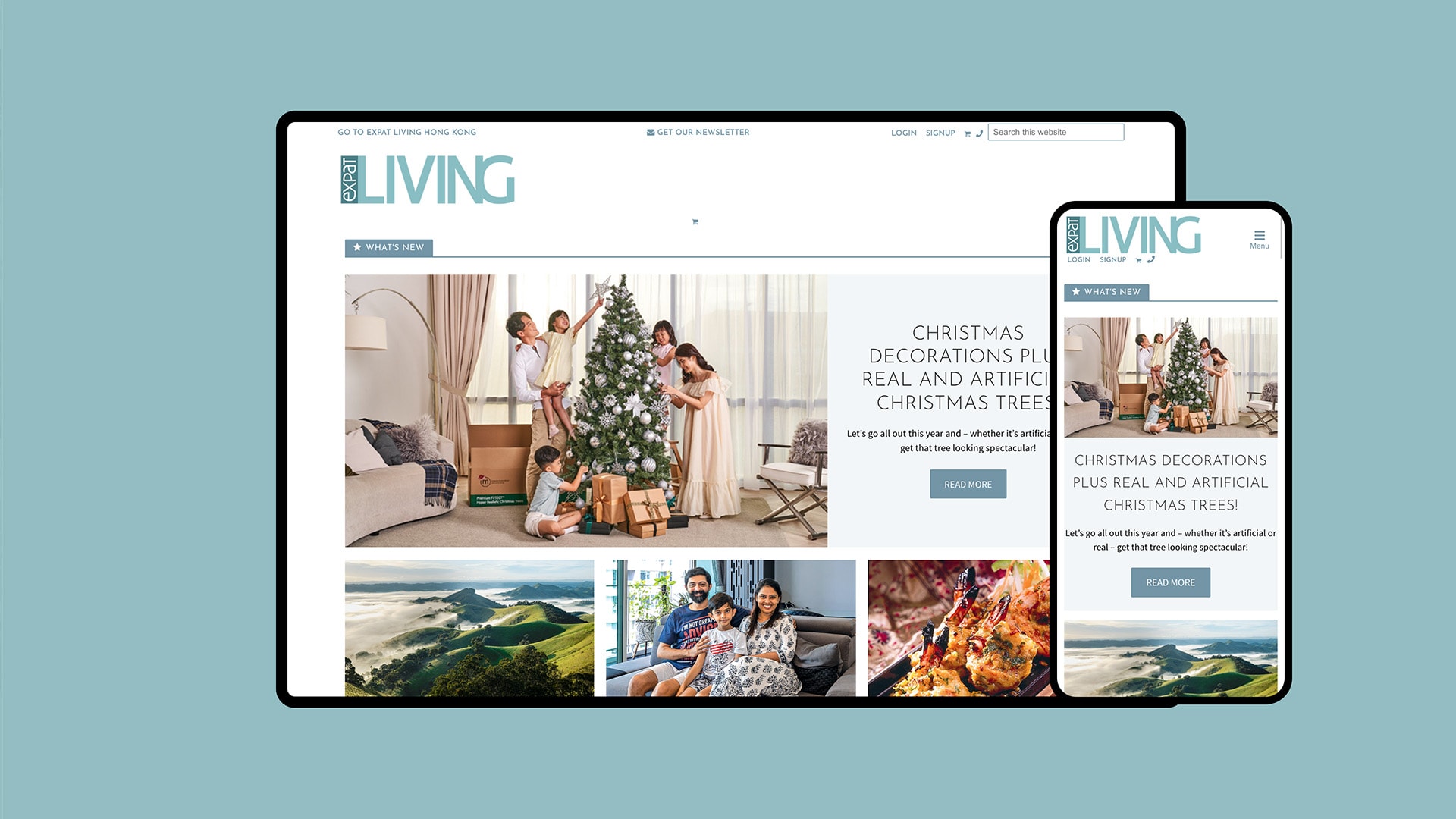 Expat Living Case Study | Chillybin Web Design