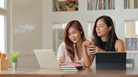 Website Design and WordPress Development | Chillybin