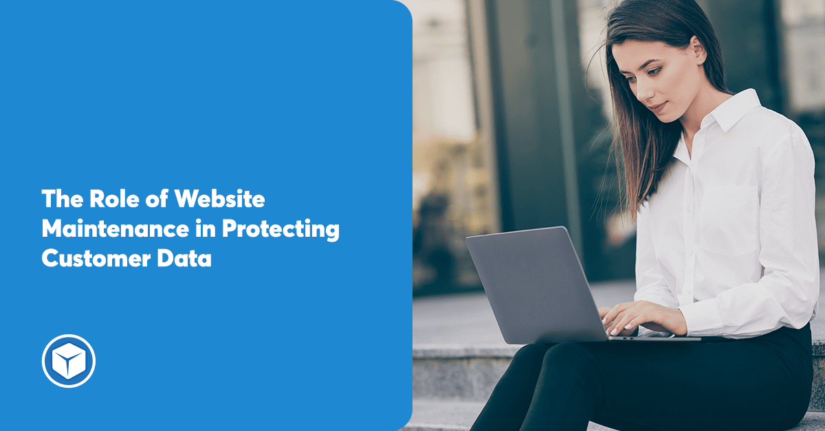 Website Maintenance and Customer Data Protection | Chillybin