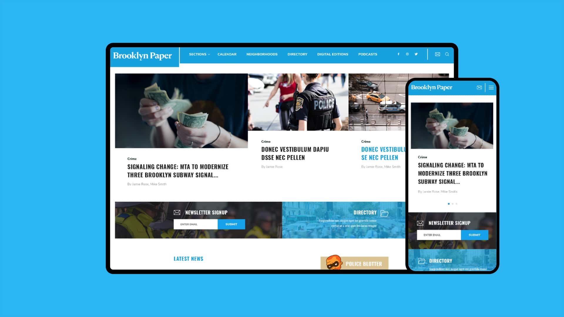 Schneps Media Case Study | Chillybin Web Design