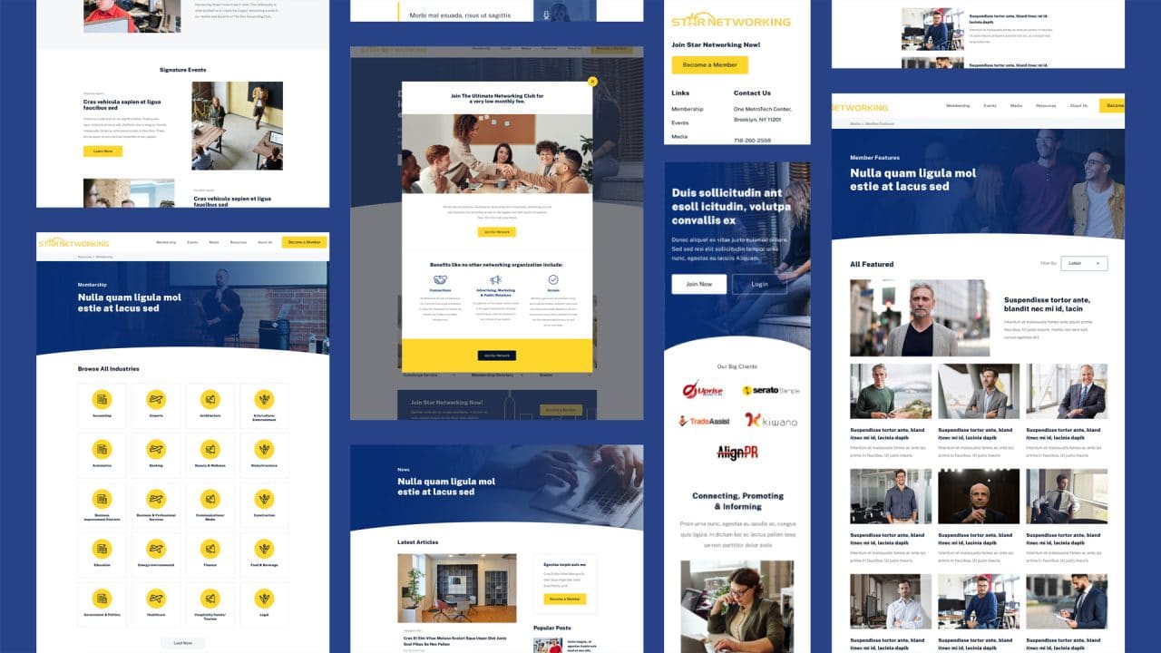 Schneps Media Case Study | Chillybin Web Design