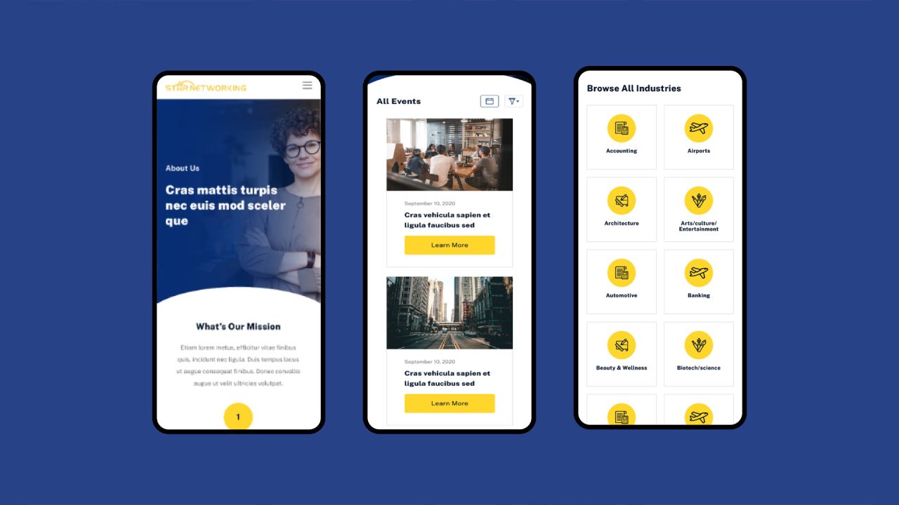 Schneps Media Case Study | Chillybin Web Design